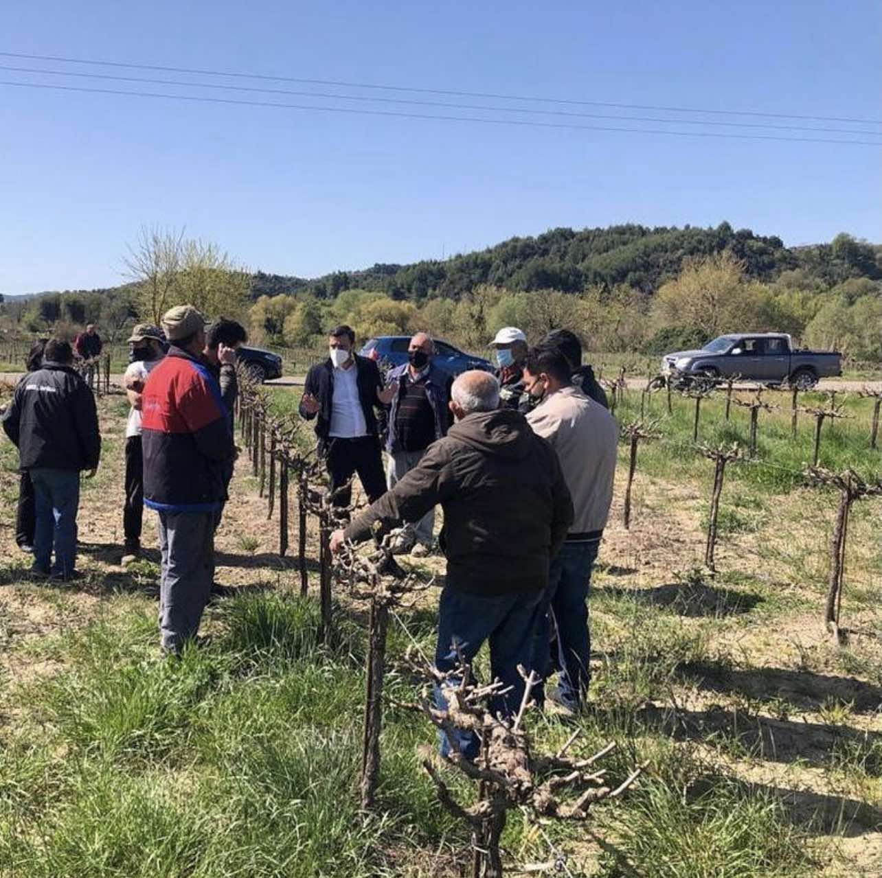 Επιστολή Βουλευτή Ηλείας Ανδρέα Νικολακόπουλου στον Υπουργό Αγροτικής ...