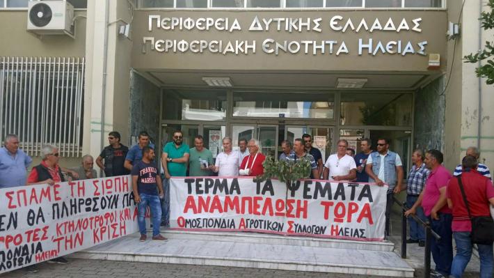 Να υπάρξει κατώτερη εγγυημένη τιμή στη Σταφίδα! - Αυγή Πύργου Ηλείας