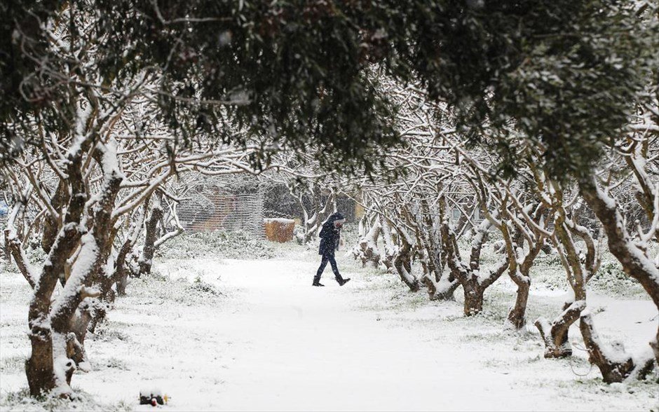 ΓΙΑ ΑΛΛΗ ΜΙΑ ΦΟΡΑ ΤΙΘΕΤΑΙ ΤΟ ΕΡΩΤΗΜΑ : ? - Αυγή Πύργου Ηλείας