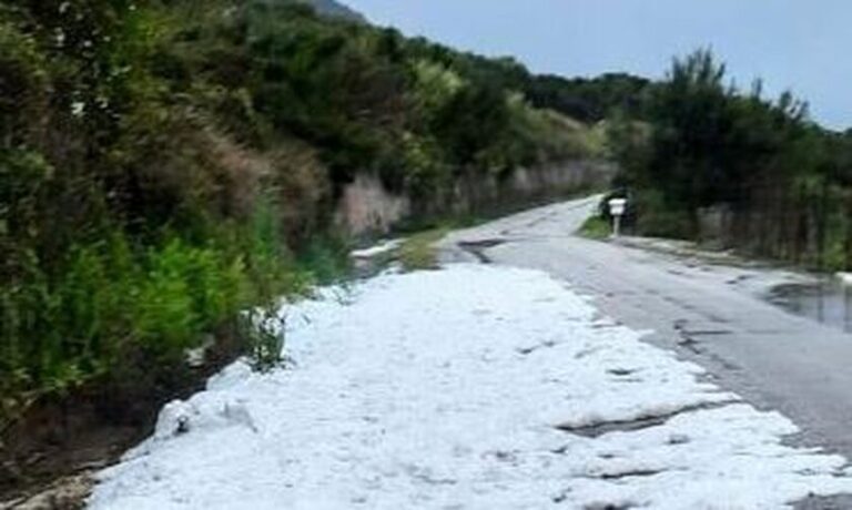 Η ΟΜΟΣΠΟΝΔΙΑ ΑΓΡΟΤΙΚΩΝ ΣΥΛΛΟΓΩΝ ΗΛΕΙΑΣ & ΚΑΙ ΟΙ ΑΓΡΟΤΙΚΟΙ ΣΥΛΛΟΓΟΙ ...