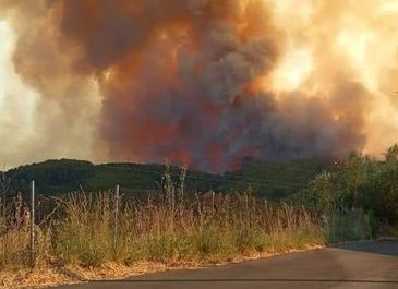 ΟΡΙΟΘΕΤΗΘΗΚΕ Η ΠΥΡΚΑΓΙΑ ΕΞΩ ΑΠΟ ΤΗΝ ΠΕΥΚΗ ΗΛΕΙΑΣ *** Οι πυροσβεστικές ...